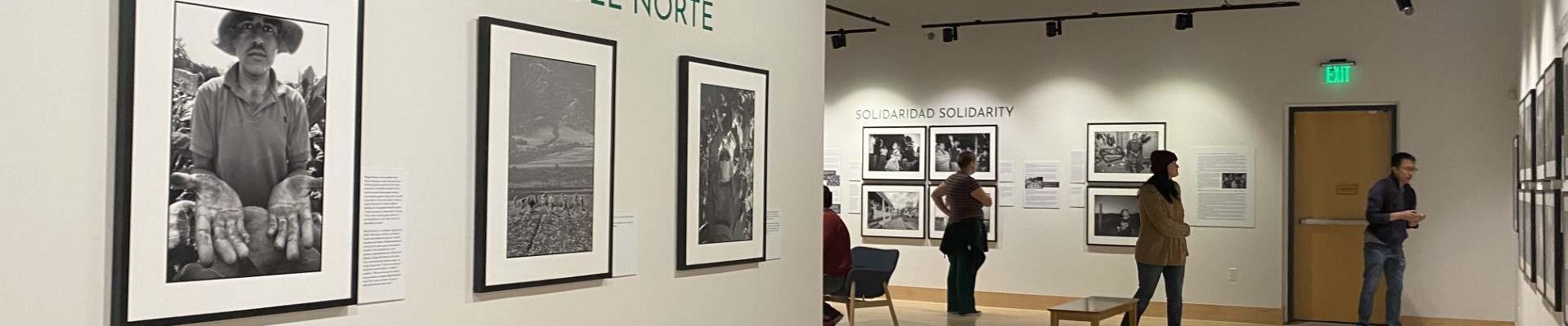 Museum Studies | College of Liberal & Creative Arts